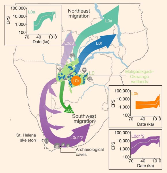 Origin of Anatomically Modern Humans Traced to Southern Africa | # ...